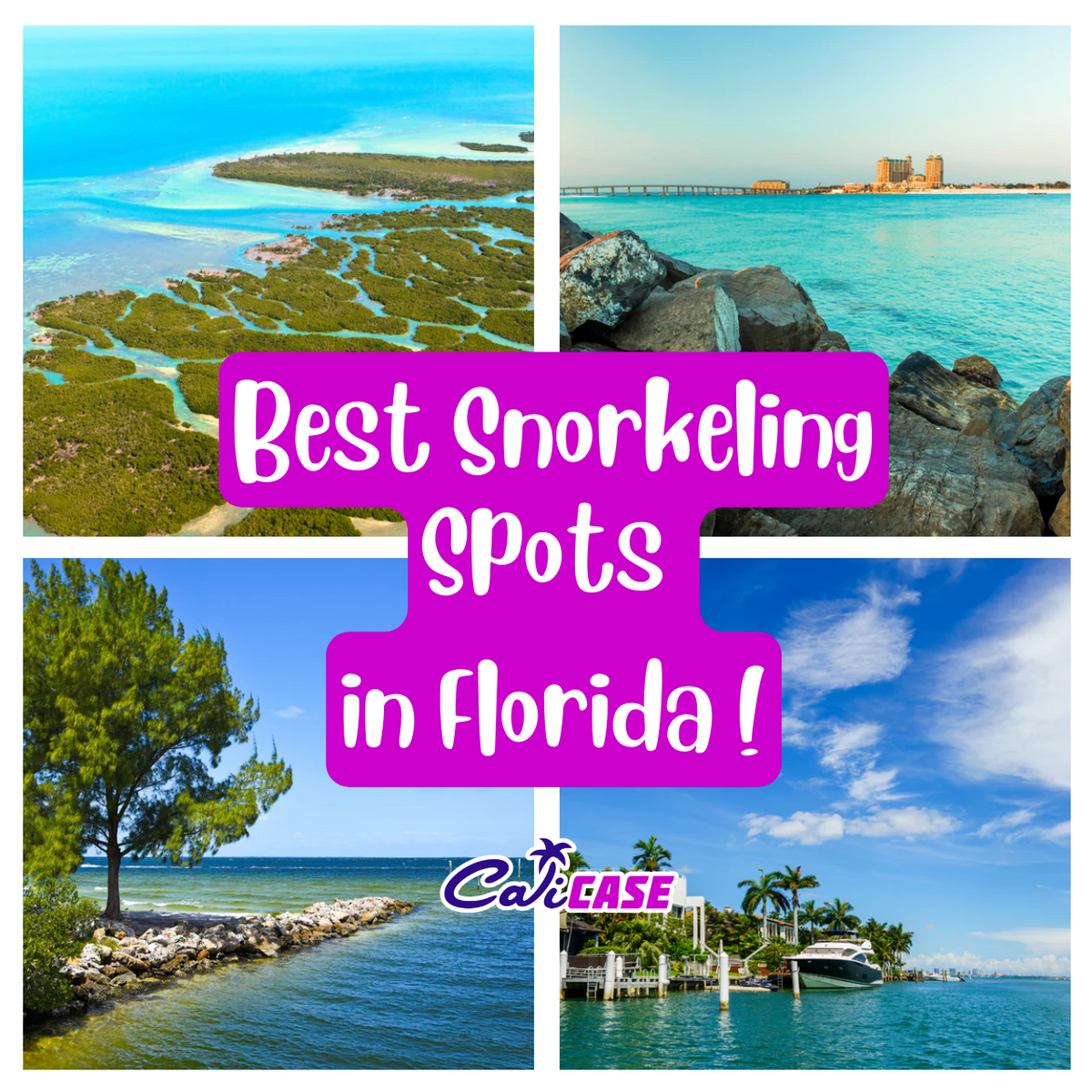Best Snorkeling Spots in Florida - Everything You Need to Know – CaliCase