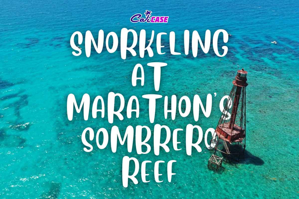 Snorkeling at Marathon's Sombrero Reef – CaliCase